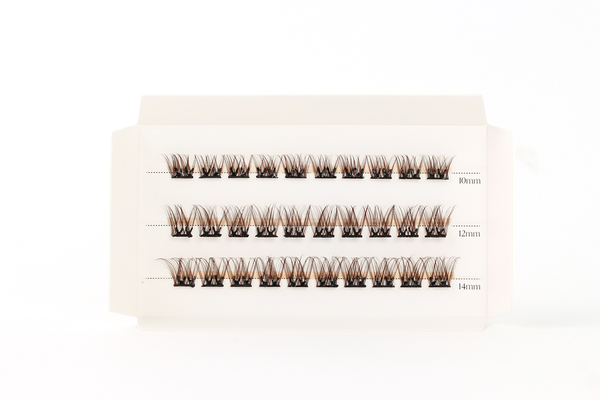 C&D Beauty Hazel Press & Go Refill | Baha Ranch Western Wear